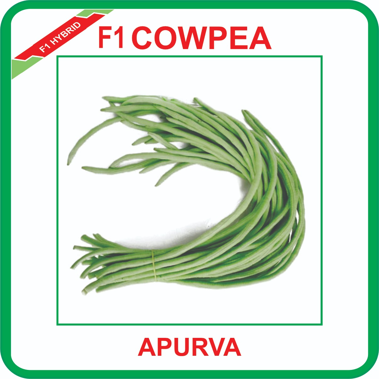 Beans Seeds – Tuhum Seeds